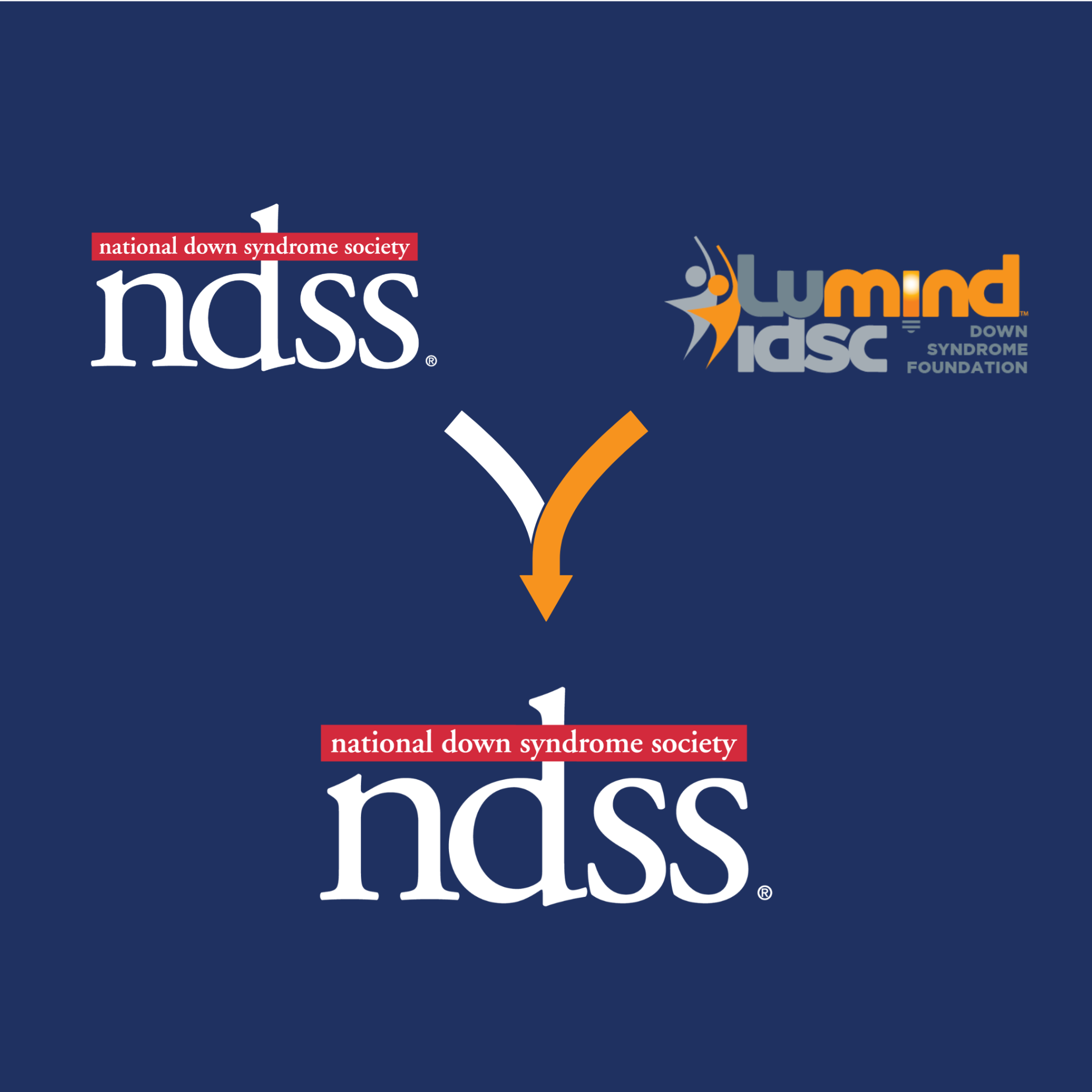 LuMind IDSC Foundation | Accelerating Down syndrome research